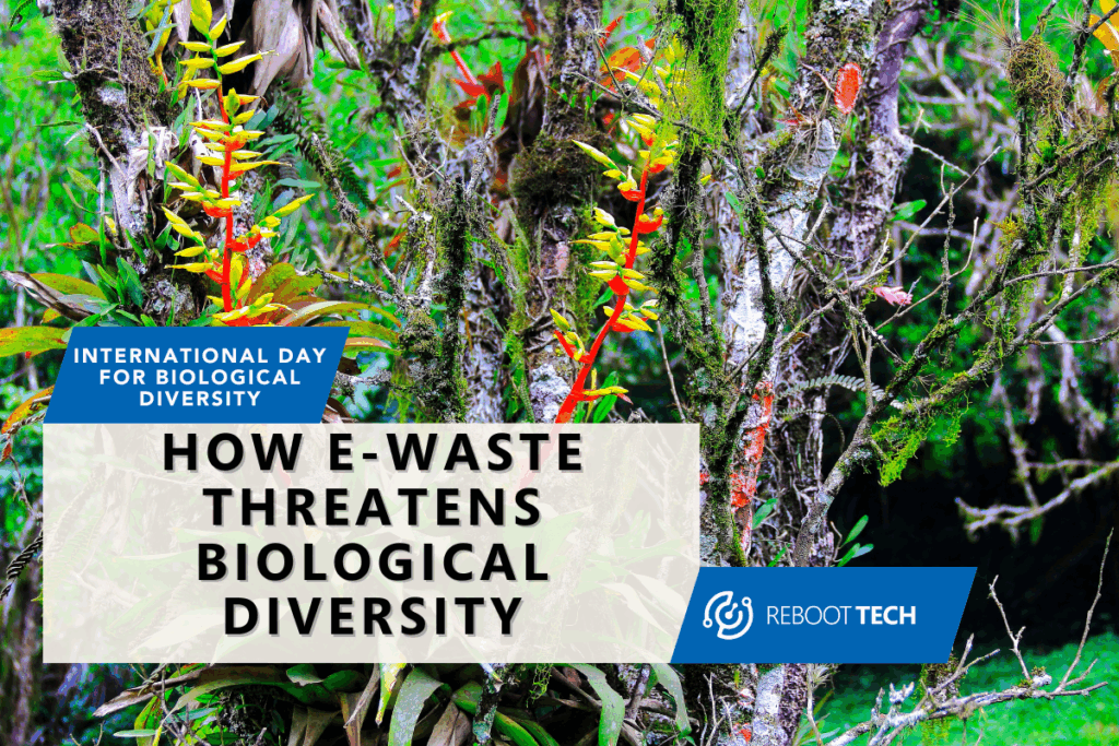 How E-Waste Threatens Biological Diversity - Reboot Tech LLC: ITAD ...